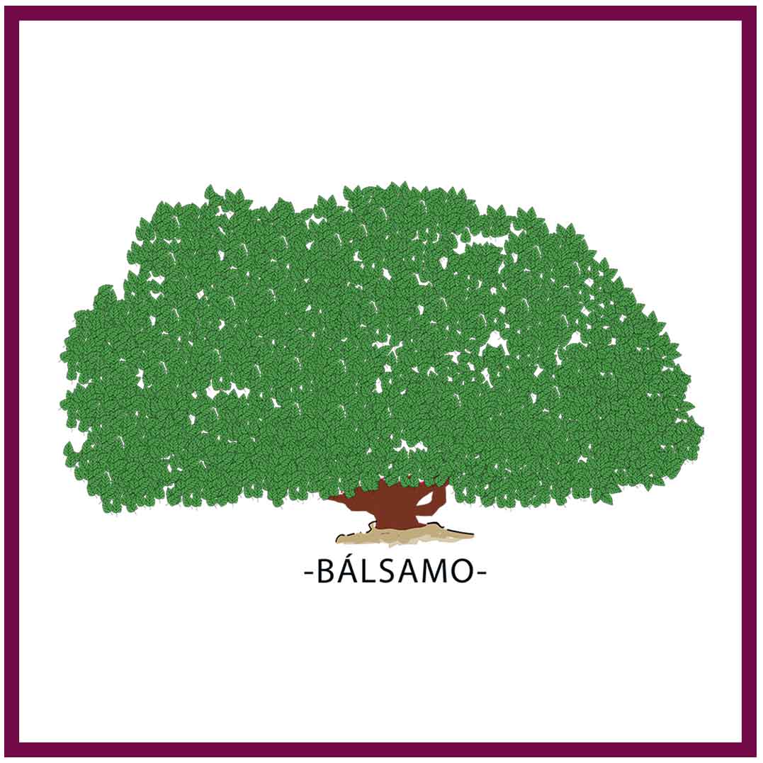Podcast 7 – Un bálsamo para tu alma - Visita guiada al Jardín de las Almas